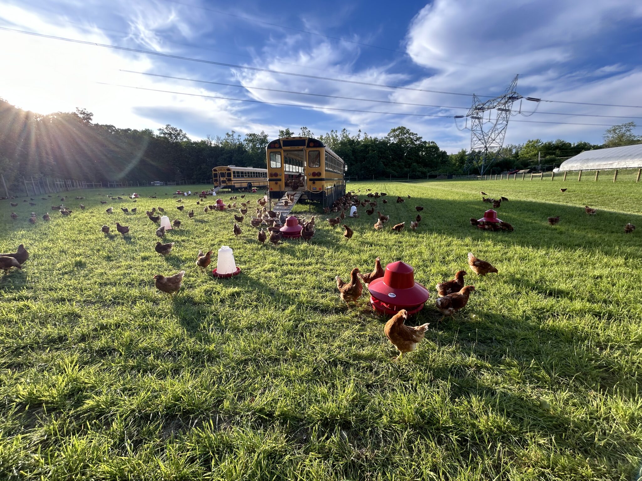 MVF Home - Misty Valley Farm, Inc.